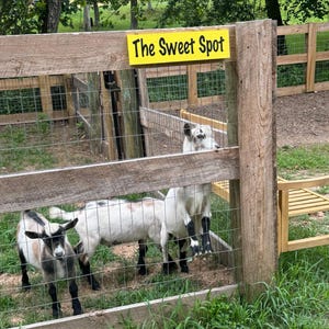 Next Register Please Sign Wooden Register Closed Sign for Store - Etsy