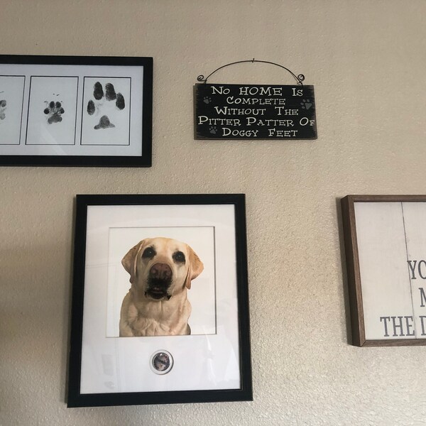 Military First Salute Custom Photo Frame Kit | With Your Silver Dollar ...