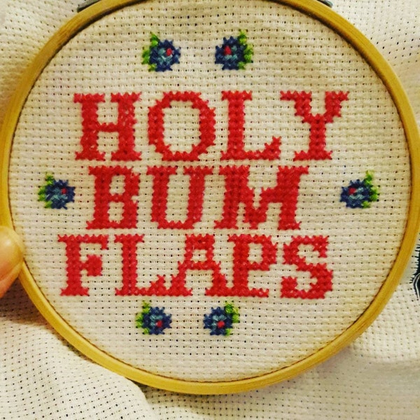 Holy Bum Flaps Cross Stitch Kit - Etsy