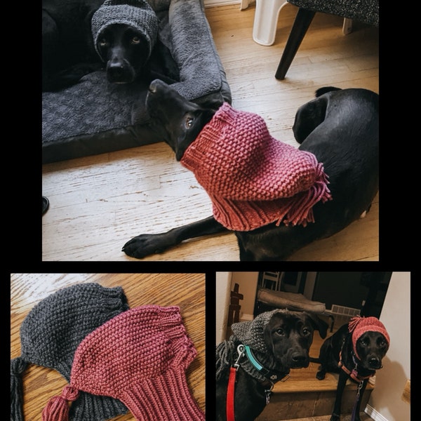 Dog Snood Knitting Pattern/ Written and Chart Instructions / All Sizes ...