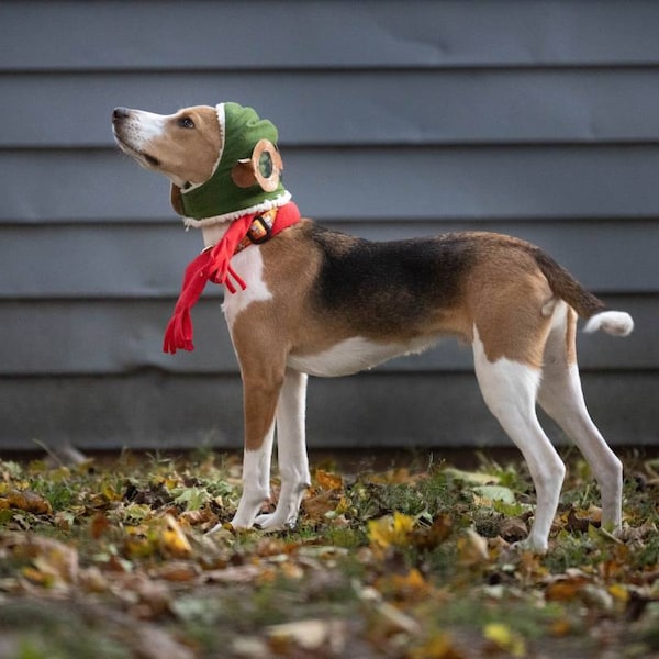 Red Baron Snoopy Dog Costume: the Peanuts Halloween Outfit - Etsy
