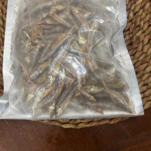 Abere Seeds (hunteria Umbellata) 30 Seeds Ships Quick - Etsy