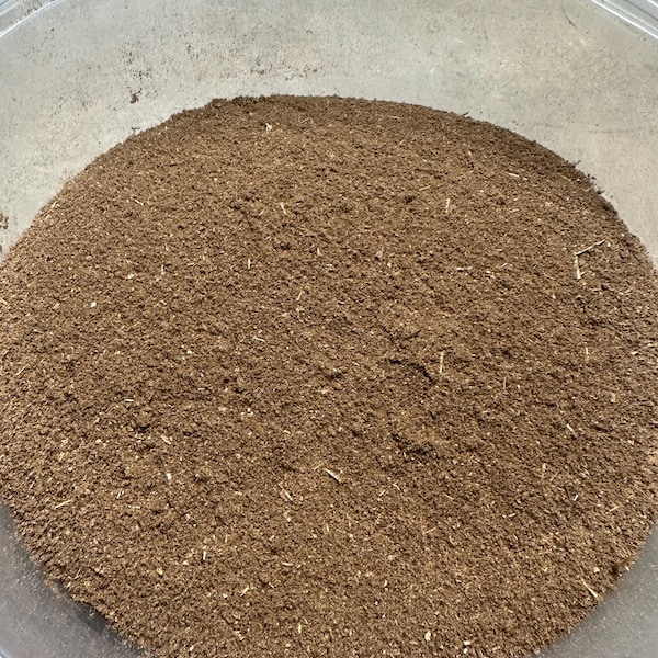 Tetrapleura Tetraptera /prekese / Aidan Tree.-1000g/1kg - Etsy