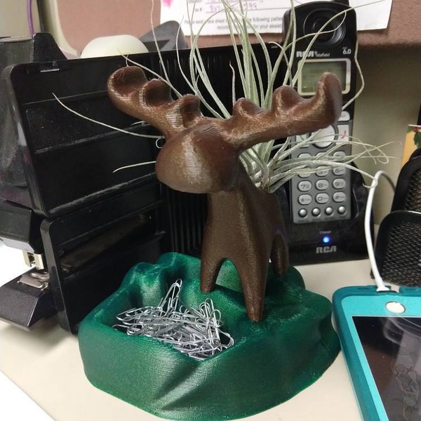Moose Air Plant Holder and Succulent Planter, Cute Moose, Animal ...