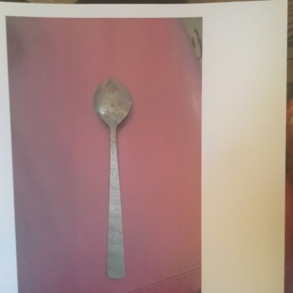 Ancient Fossilized Corax Shark Dinosaur Teeth - Shark Teeth Fossil ...