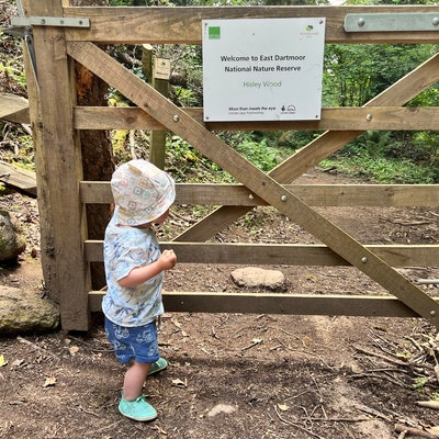 The Binky Box Cardboard Playhouse Creative Fun - Etsy