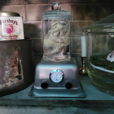 Lobotomy Shadowbox - Etsy