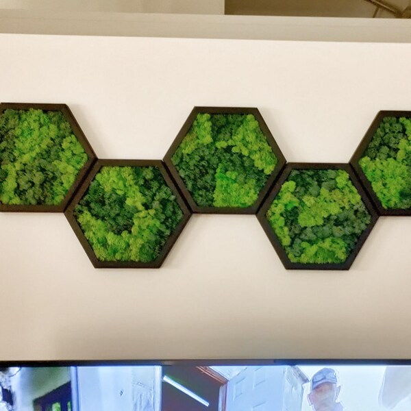 Hexagon Moss Wall Art Moss Wall Decor Preserved Moss Art Framed Moss ...