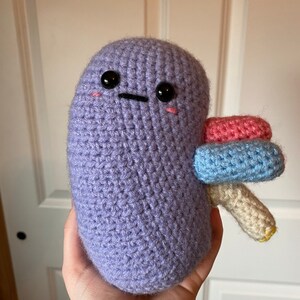 Anatomical Kidney Crochet Pattern PATTERN ONLY Instant DOWNLOAD ...