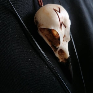 Crow Skull With Custom Rune Necklace Resin Replica Hand - Etsy