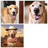 Custom Cowboy Pet Portrait Personalized Dog and Cat in Cowboy Costumes ...