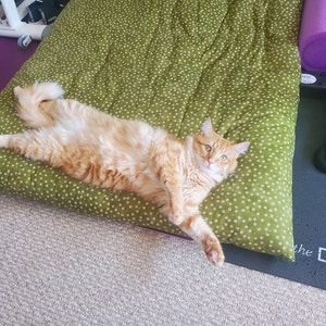 Zabuton hattan Zabuton Shin Fuji Fabric | Etsy