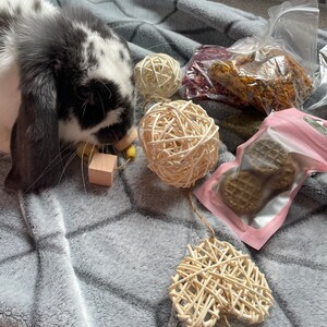 Bunny Waffle Treat All Natural Banana Treat for Rabbits - Etsy