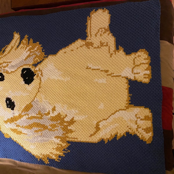 Thumper Rabbit Bunny Mini C2C Crochet Pattern - Etsy