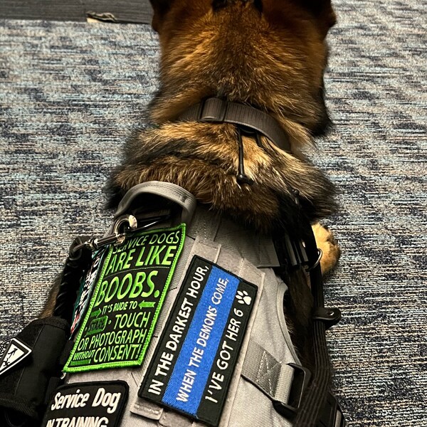 Personal Protection Dog Velcro Patch Set. FAFO. 100% Fully Embroidered ...