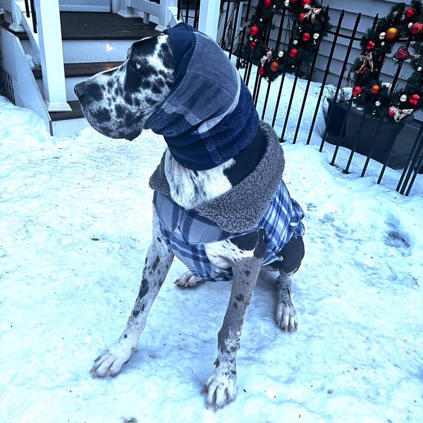 Raccons on Bikes Snood for Dogs, Great Dane/big Dog Snood, Bicycle ...