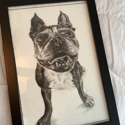 Custom Dog Drawing, Dog Memorial, Photo to Sketch, Charcoal Drawing ...