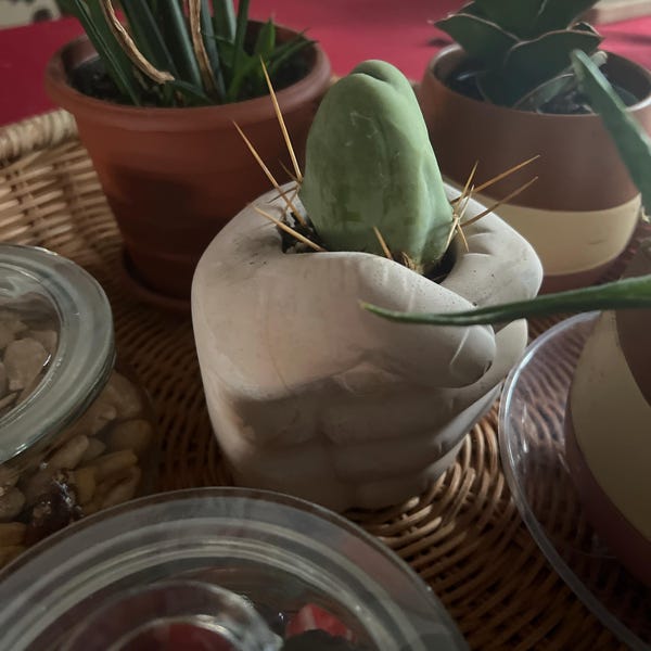 Oopsies Funny Planter | Fist Planter | Plant Pot | Hand Planter | Funny ...