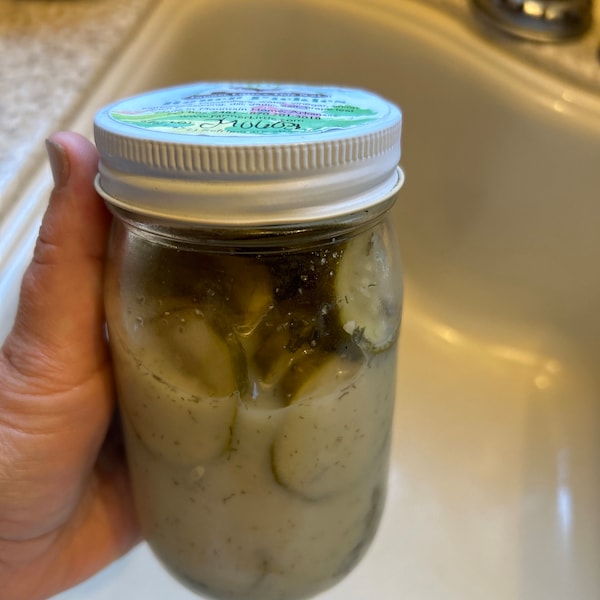 Southern Fish House Style Farm Fresh Pickled Green Tomatoes - Etsy