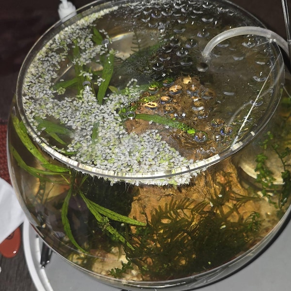 Zipper Jig 3rd Hand V2 3D Printed Sewing Aid - Etsy