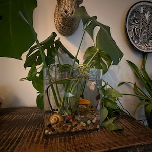 DIY Self Cleaning Conversion Kit for Anchor Hocking, 2 Gallon Fishbowl ...