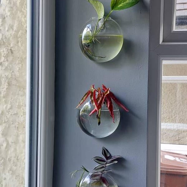 Plant Propagation Station Gift - Hydroponic Station for Growing Plant ...
