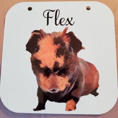 Guinea Pig Name Tag, Guinea Pig Accessories, Pet Tag, Guinea Pig ...