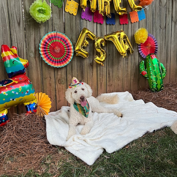 Birthday Fiesta Sombrero Hat, Custom Mini Sombrero, Cinco De Mayo Party ...