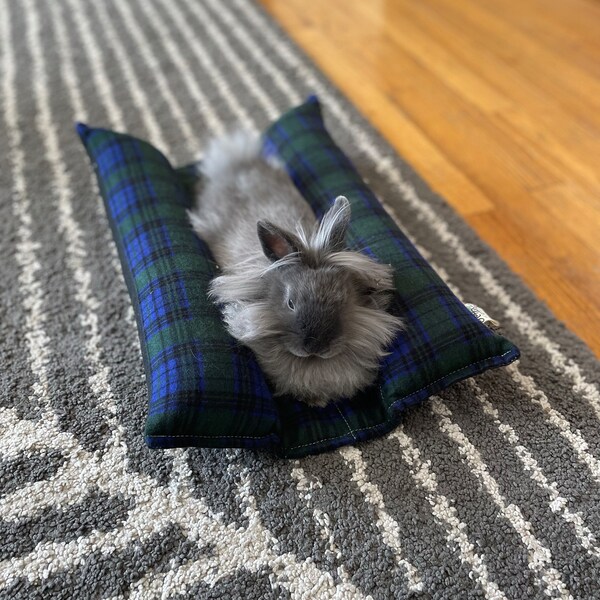 Seagrass Enrichmat™ | Snuffle Mat | Foraging & Enrichment Mat | Well ...