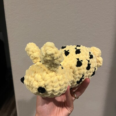 Dorid Nudibranch Amigurumi Pattern, Crochet Sea Slug Pattern Only - Etsy