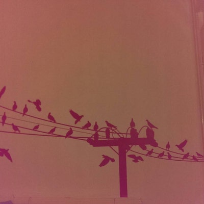 BIRDS ON A WIRE Wall Decal, Powerline Wall Decal, Power Line, Flying ...