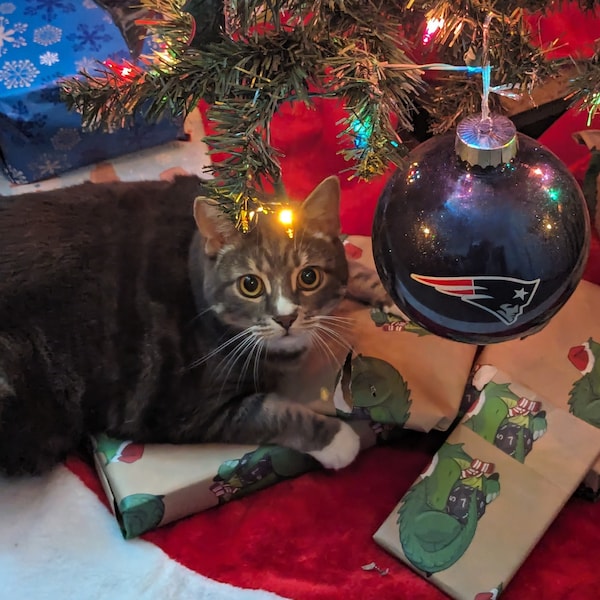 Handmade Wooden HP, Status, Condition Tracker for D&D, Dnd, Dungeons ...