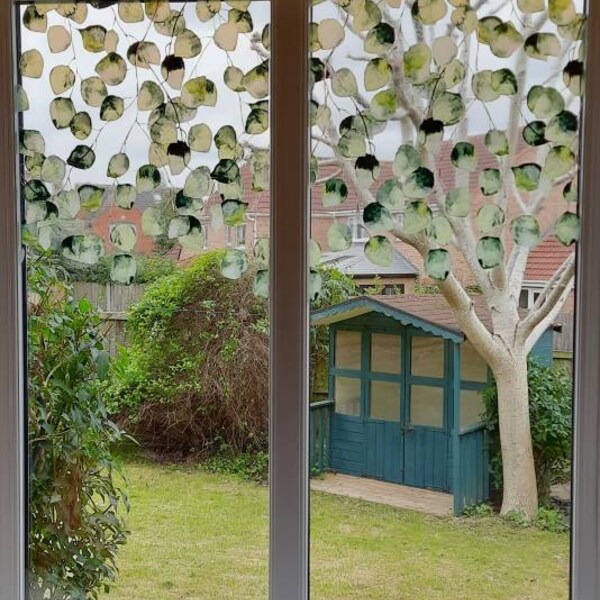 Eucalyptus Plant Window Decal | Leaves Border Plant Window Sticker ...