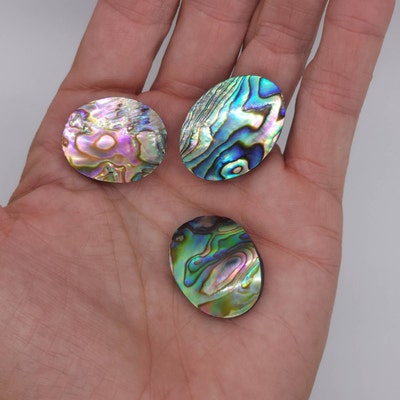 Abalone Shell/shell Cabochon Wholesale Lot by Weight With Different ...