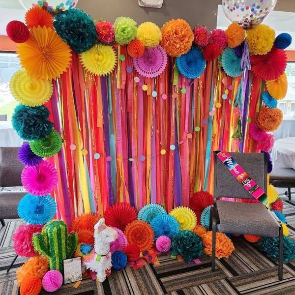 Colorful Backdrop, Photo Backdrop, Streamer Backdrop, Fringe Backdrop ...