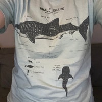 Manta Ray Anatomy T Shirt Giant Oceanic Manta Ray Shirt - Etsy Canada