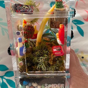 Spider Stuff Bioactive Enclosure Large 4x 4 X 8, Spider Enclosure ...