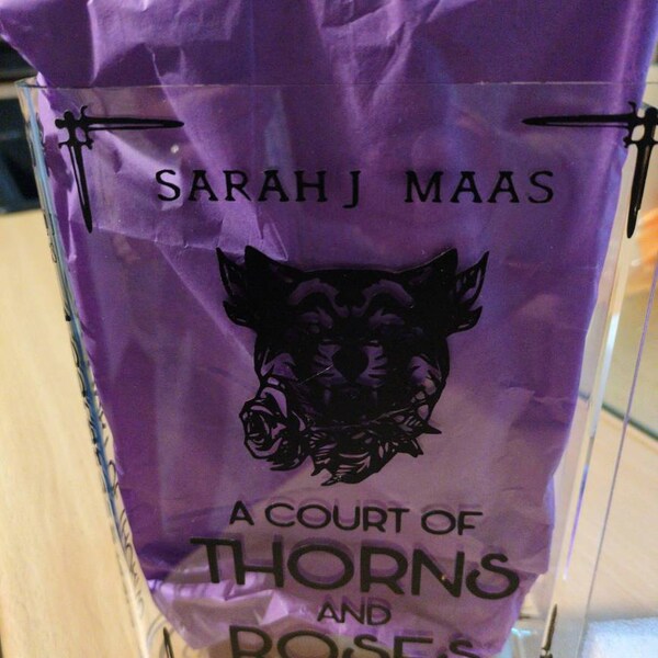 Acrylic Book Vase - ACOTAR A Court of Thorns and Roses - Etsy