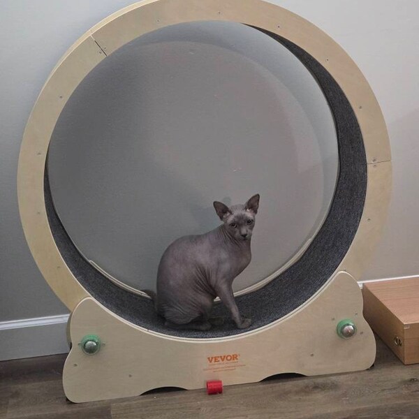 Hairless Pet Shampoo & Conditioner Set | Natural Sphynx Cat Shampoo ...