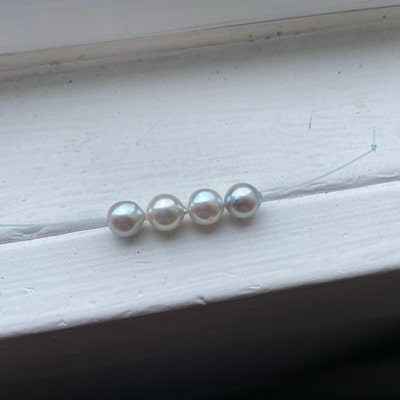 16.9x14.0mm Natural Deep Sea Angel Skin Color Coral Oval - Etsy