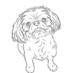 Dog Outline, Custom Line Drawing, Pet Portrait Full Body, Inked Line ...
