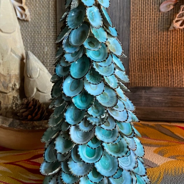 25 to 500 Limpet Shells Seashells Aqua Blue Teal Green Limpet Small ...