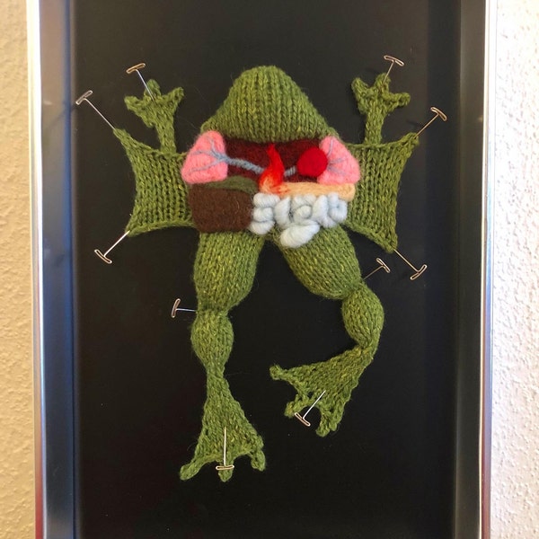 Knitted Dissected Bat Specimen - Etsy