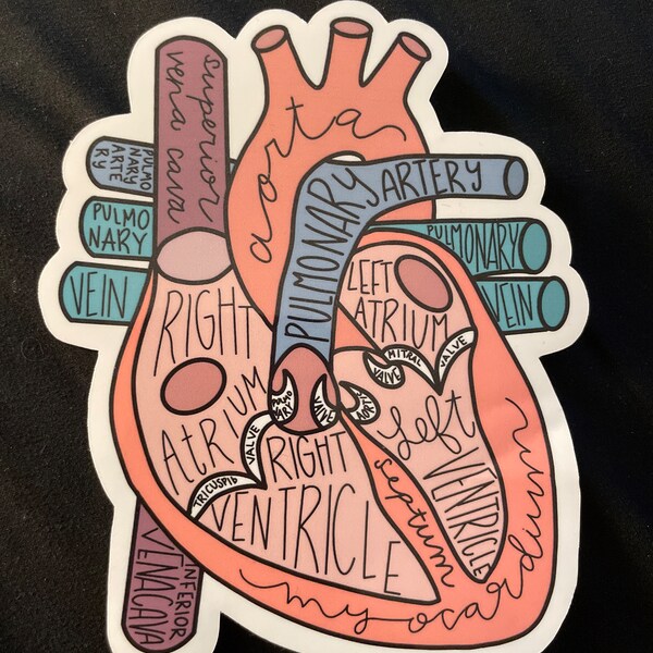 Texas Aggies Sticker, Texas A and M Stickers, Reveille Sticker, Texas A ...