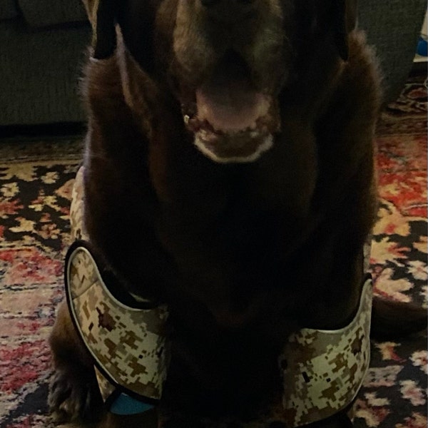 Adjustable K-9 Elbow Callus Pressure Sores Reflective Dog Elbow ...