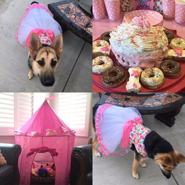 Cupcake Dog Harness Dress, Birthday Dog Dress, Tutu Dog Dress, Dog ...