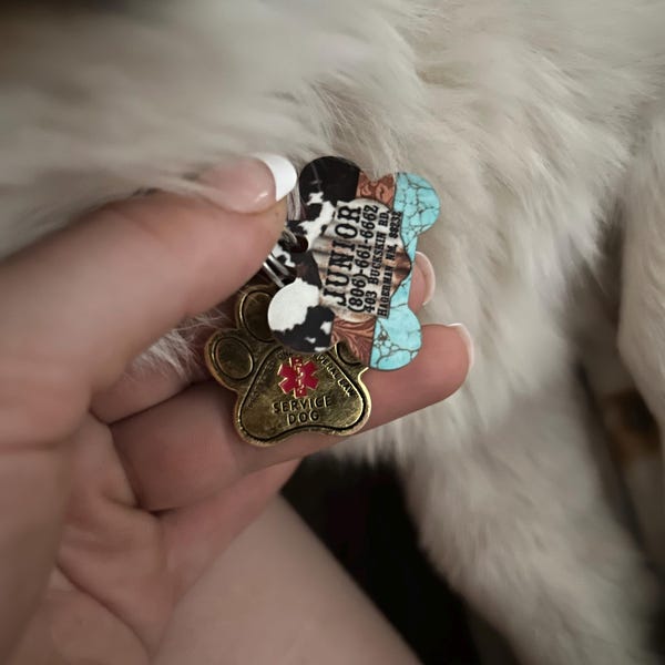 Custom Dog Tag, Western Dog Tag, Cow Hide Pet ID Tag, Personalized Pet ...