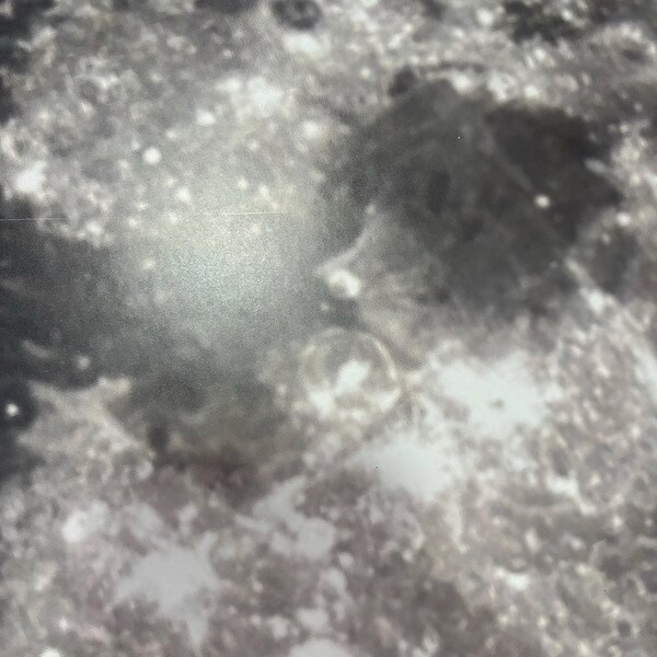 Disabled Car, Stickers Blue Badge Mobility Window Decal Vinyl Stickers ...