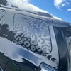 Fits 2010-2022 Toyota 4runner Leopard Cheetah Print 3rd Rear Window ...