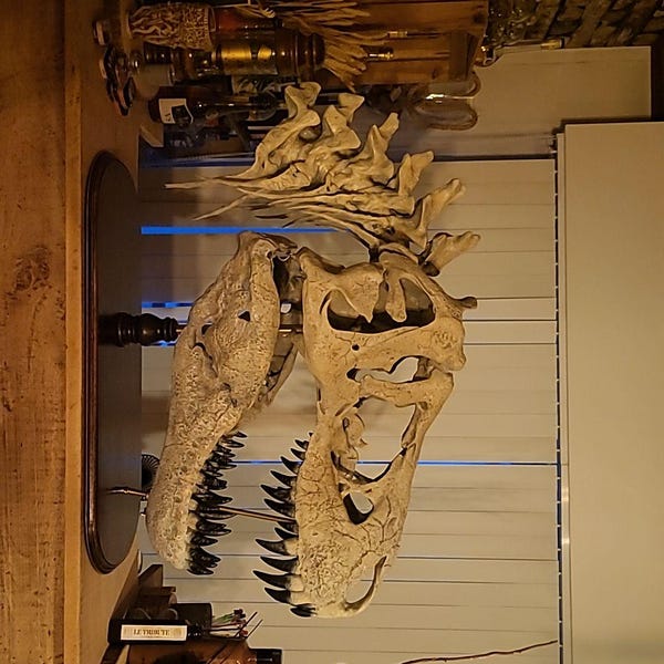 Giant T-rex Skull Replica: 110cm - 43-inch Collector Piece on Wooden ...